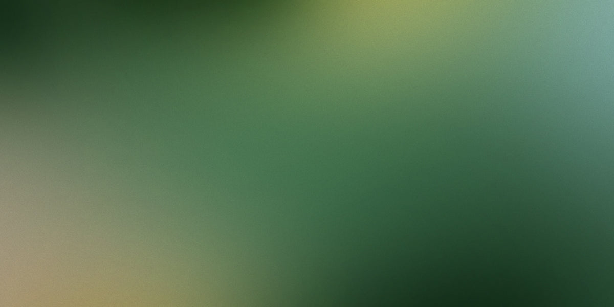 BC Footwear – Seychelles Footwear