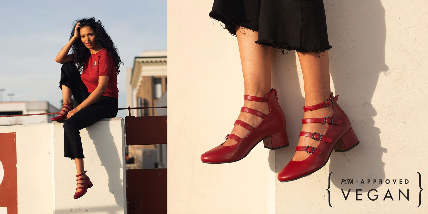 BC Footwear – Seychelles Footwear