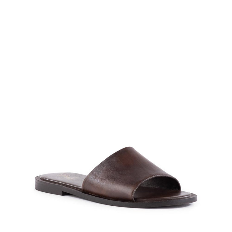 Sandals – Seychelles Footwear