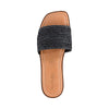 Palms Perfection Slide | Seychelles Footwear