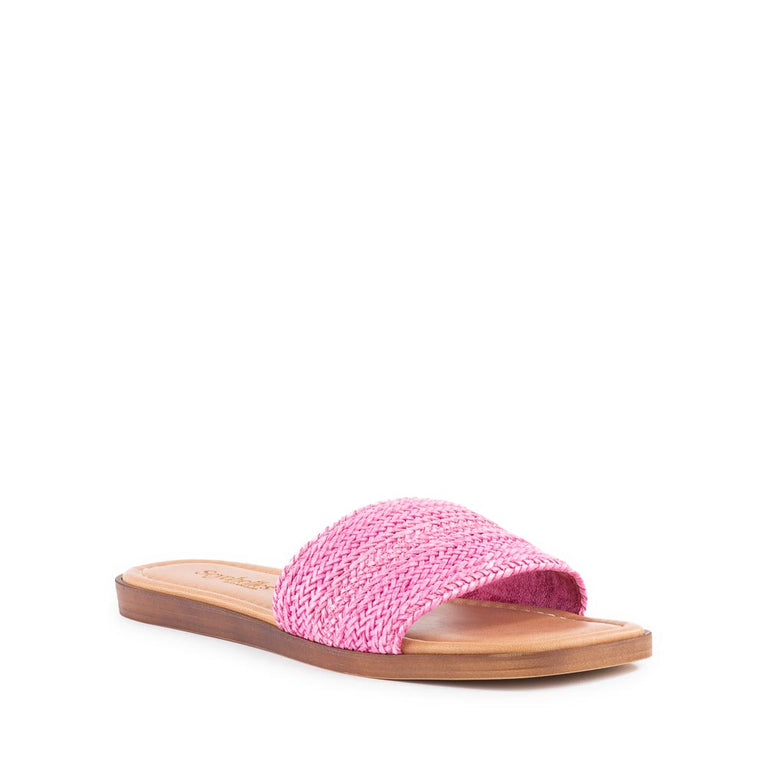 Palms Perfection Slide | Seychelles Footwear